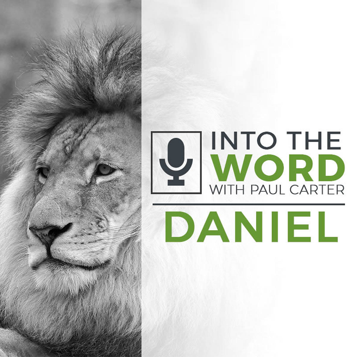 Into the Word: Daniel 8